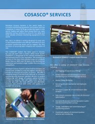Corrosion/Erosion Data-Logging System - Rohrback Cosasco Systems