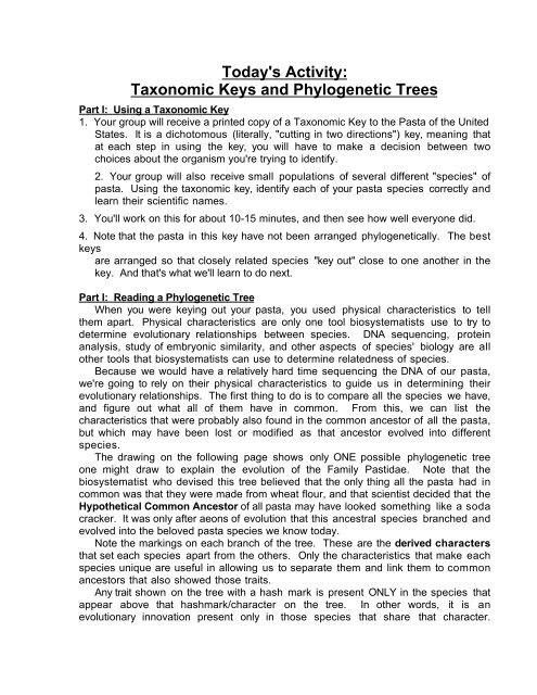 Today's Activity: Taxonomic Keys and Phylogenetic Trees
