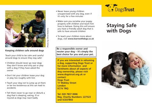 Do Dogs Trust Take Dogs