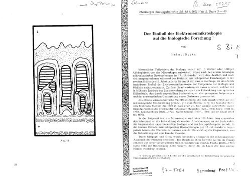 H. Ruska - Helmut Ruska