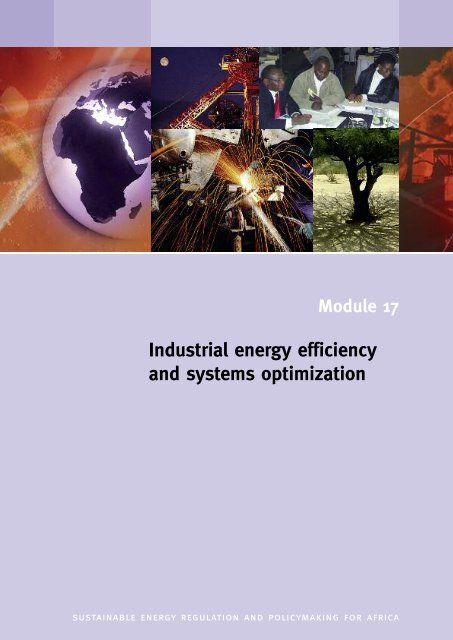 Industrial energy efficiency and systems optimization