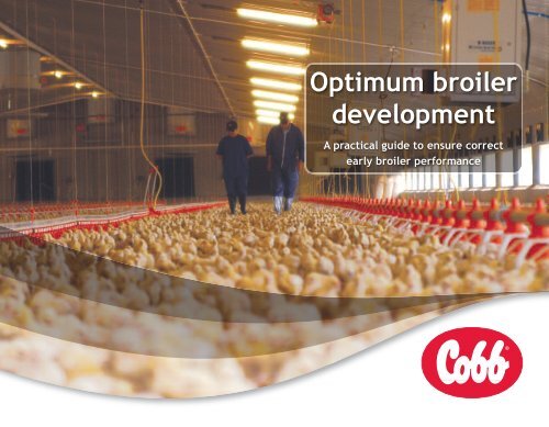 Optimum broiler development - Cobb