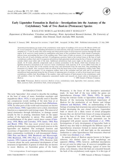Margaret Sedgley Lignotuber formation in Banksia - Australian Flora ...