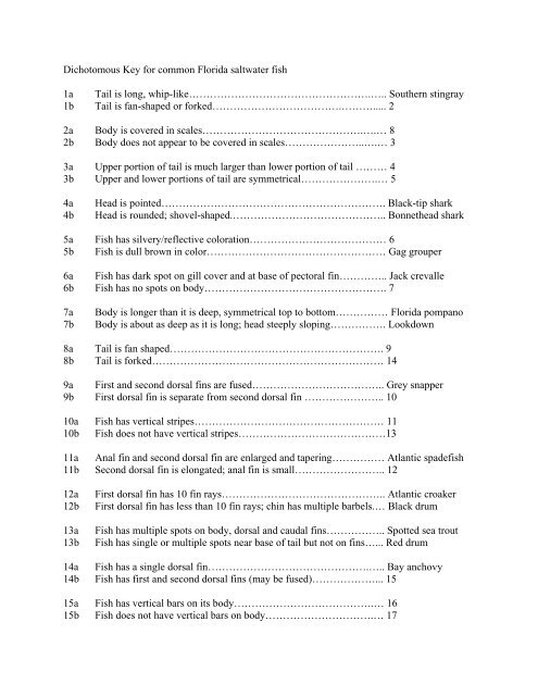 Dichotomous Key for common Florida saltwater fish