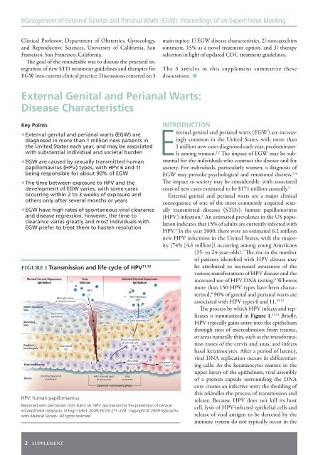 Management of external genital warts – warts treatment guidelines – PBFF