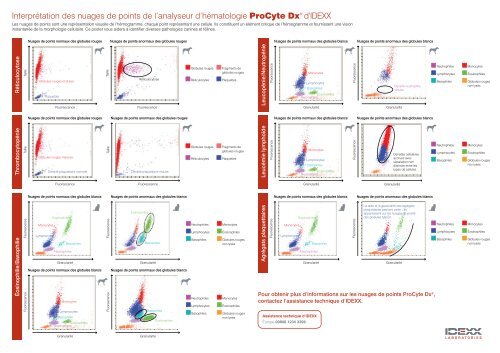 Interprétation des nuages de points de l'analyseur d ... - Idexx