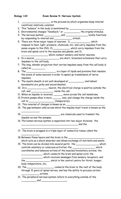 Nervous System Fill-in-the-Blanks
