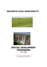 Intsika Yethu LM HSP 08_12.pdf - Provincial Spatial Development ...