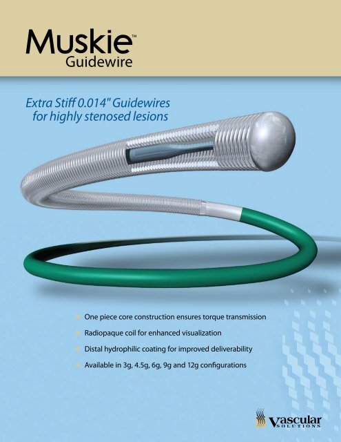 Muskie Guidewire Brochure - Vascular Solutions, Inc.