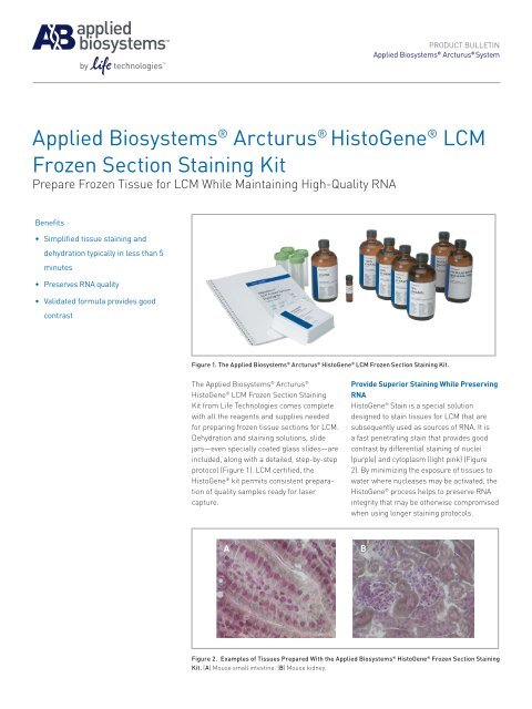Arcturus® HistoGene Frozen Section Staining Kit - Applied Biosystems