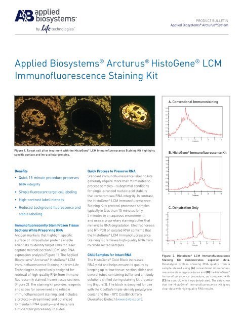 Arcturus® HistoGene® LCM Immunofluorescence Staining Kit