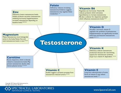 HORMONE, TESTOSTERONE (wheel) - SpectraCell Laboratories
