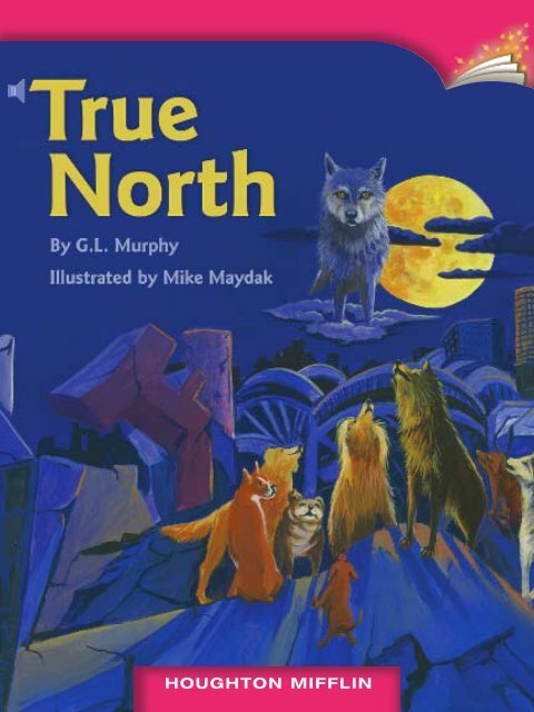 Lesson 12:True North