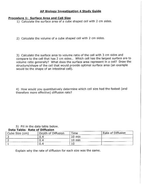 Procedure 1: Surface Area and Cell Size