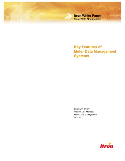 Key Features of Meter Data Management Systems - Itron