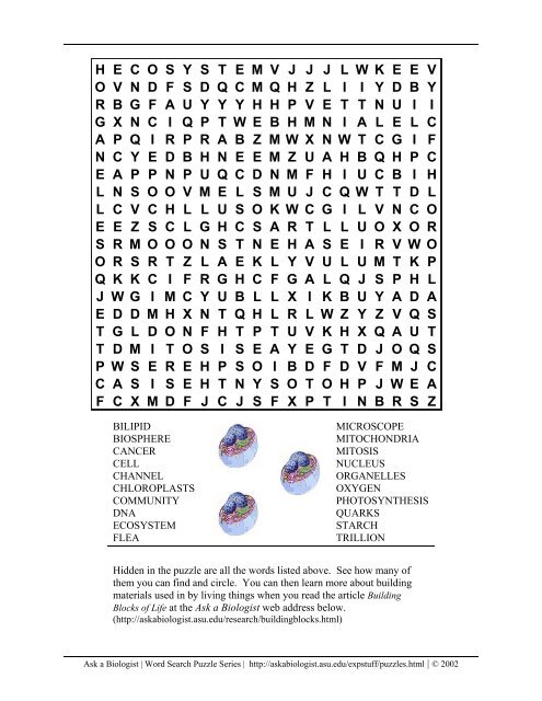 Ecosystem Word Search