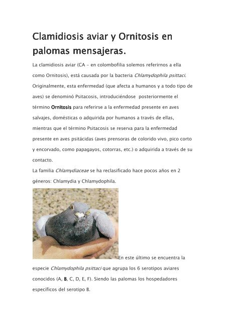 Clamidiosis aviar y Ornitosis en palomas mensajeras.pdf