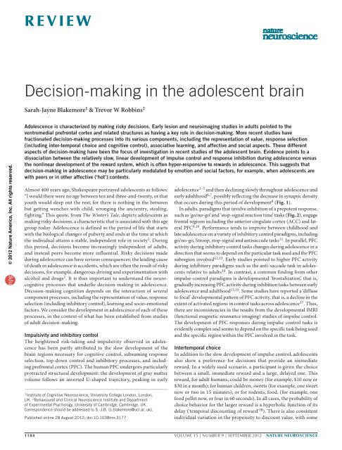Decision-making in the adolescent brain