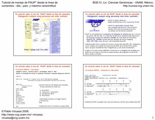 Tutorial de uso de PAUP* desde la lÃ­nea de comandos - CCG-UNAM