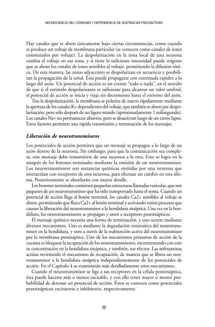 NEUROCIENCIA DEL CONSUMO