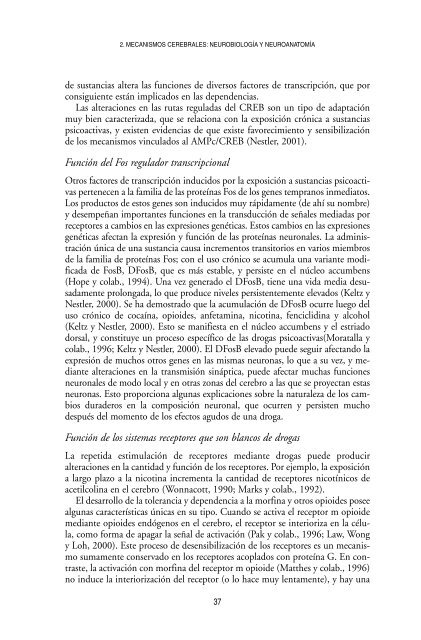 2. MECANISMOS CEREBRALES: