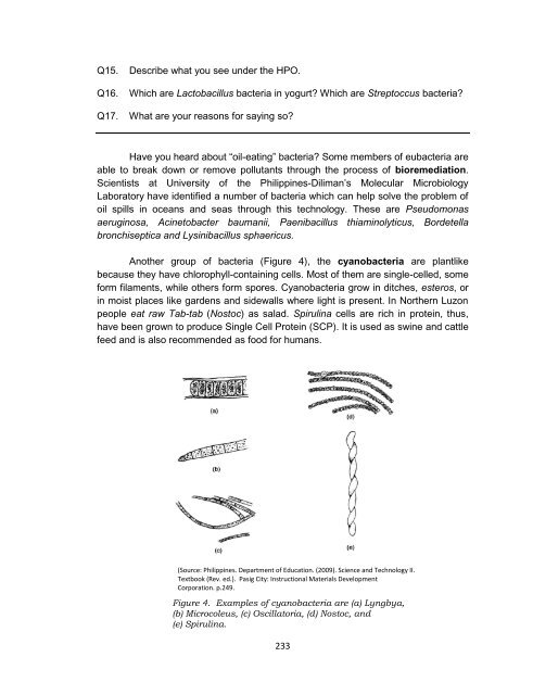 Q15. Describe what you se