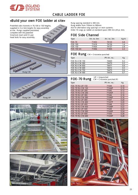CABLE LADDER FOE1M10x3065