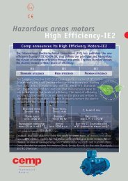 Atav-Flameproof Motors - CEMP