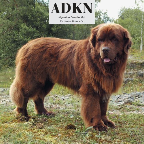 Rasse-Information - ADKN