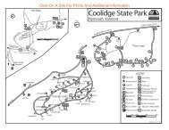 Elmore State Park Interactive Campground Map & Guide
