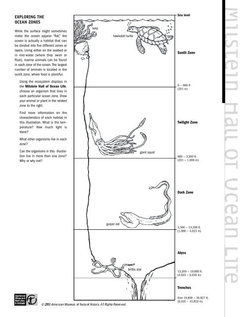 EXPLORING THE OCEAN ZONES