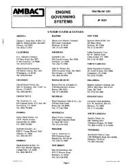 model 100 diesel fuel injection pump service ... - AMBAC International