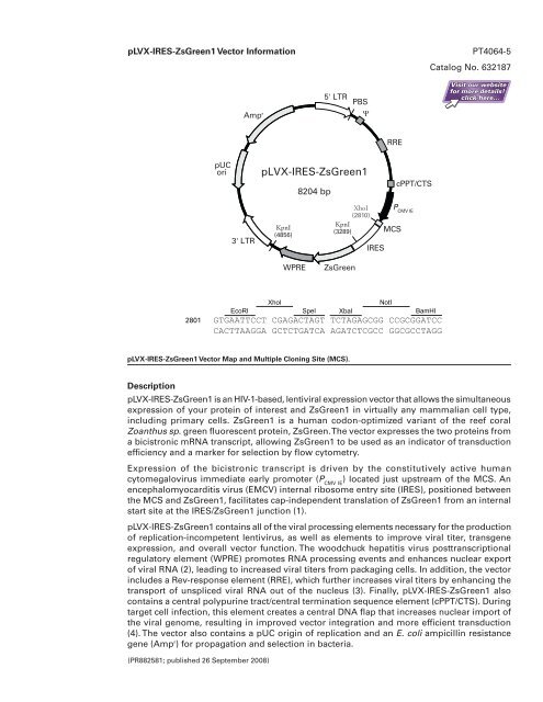 pLVX-IRES-ZsGreen1 Vector Information