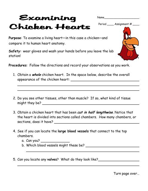 Chicken Heart Lab chicken_heart_lab.pdf - Kent