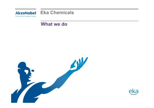 Eka Chemicals What we do - AkzoNobel