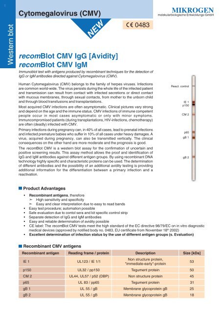MIKROGEN recomBlot CMV IgG [Avidity] recomBlot CMV IgM ...