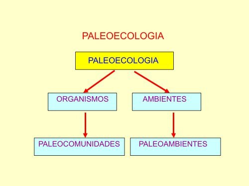 PALEOECOLOGIA - geo shelf