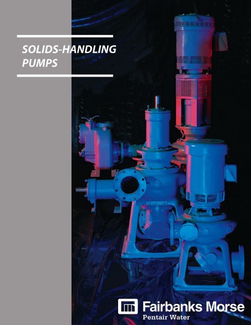 SOLIDS-HANDLING PUMPS - BBC Pump and Equipment