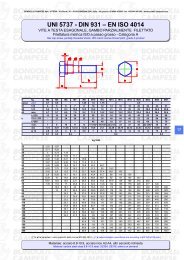 UNI EN ISO 28752 - DIN 1481 - Bondoli & Campese