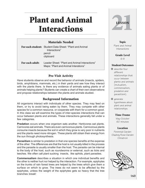How Plants And Animals Interact