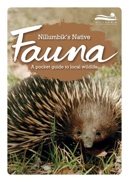 Nillumbik's native fauna - Nillumbik Shire Council