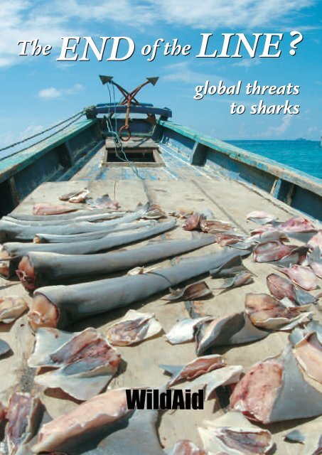 WildAid_Shark_Report2007