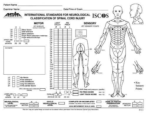 THE NATIONAL SPINAL CORD