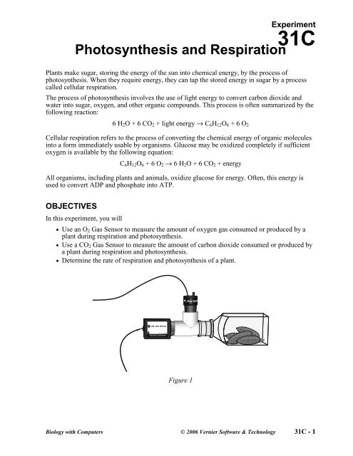 Photosynthesis and Respiration - Vernier Software