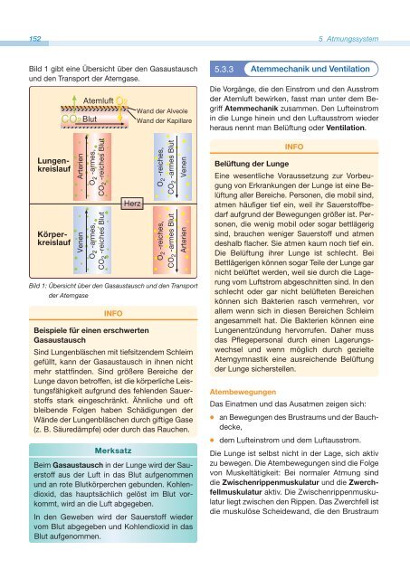 5.3.3 Atemmechanik und Ventilation