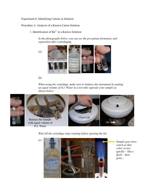 Experiment 8: Identifying Cations in Solution Procedure A. Analysis ...