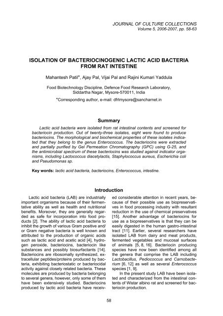 isolation of bacteriocinogenic lactic acid bacteria from rat intestine