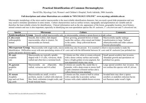 Practical Identification of Common Dermatophytes - Mycology Online