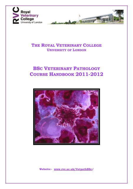 morning - The Royal Veterinary College