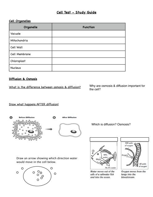 Cell Test StudyGuide - Century Life Science